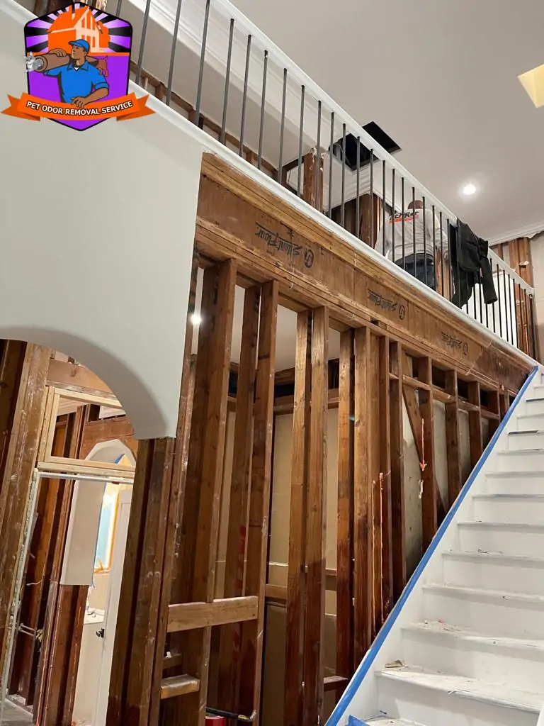 House Odor Removal Phoenix Arizona